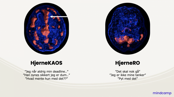 Har jeg HjerneKAOS? (test dig selv)