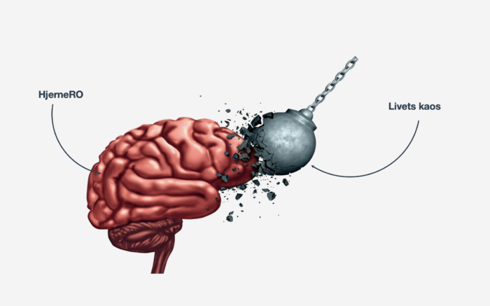 HjerneRO: Sådan tænker du klart, når andre panikker - Mindcamp